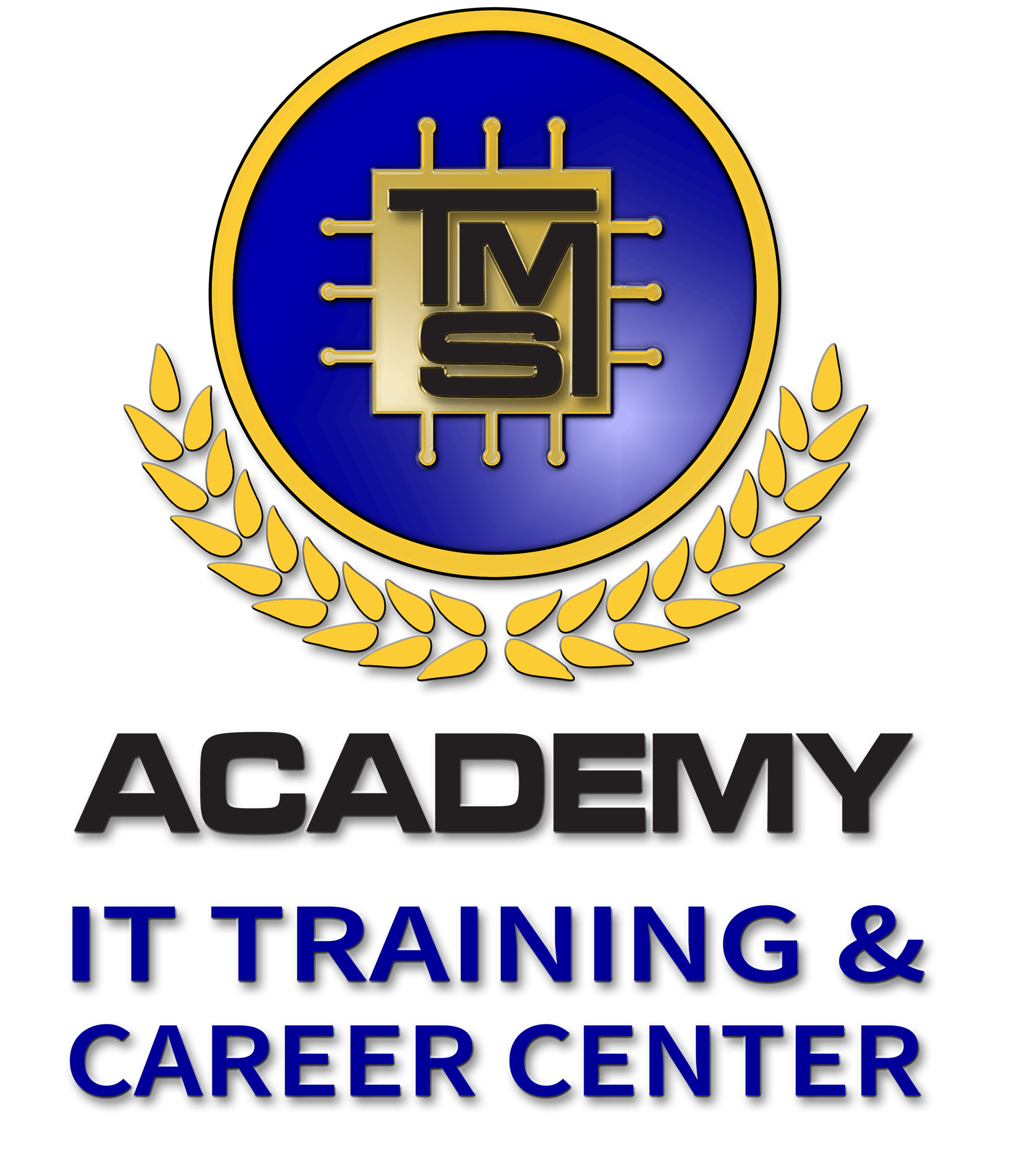 Business Profile: TMS Academy IT Education & Career Center - Daily News ...