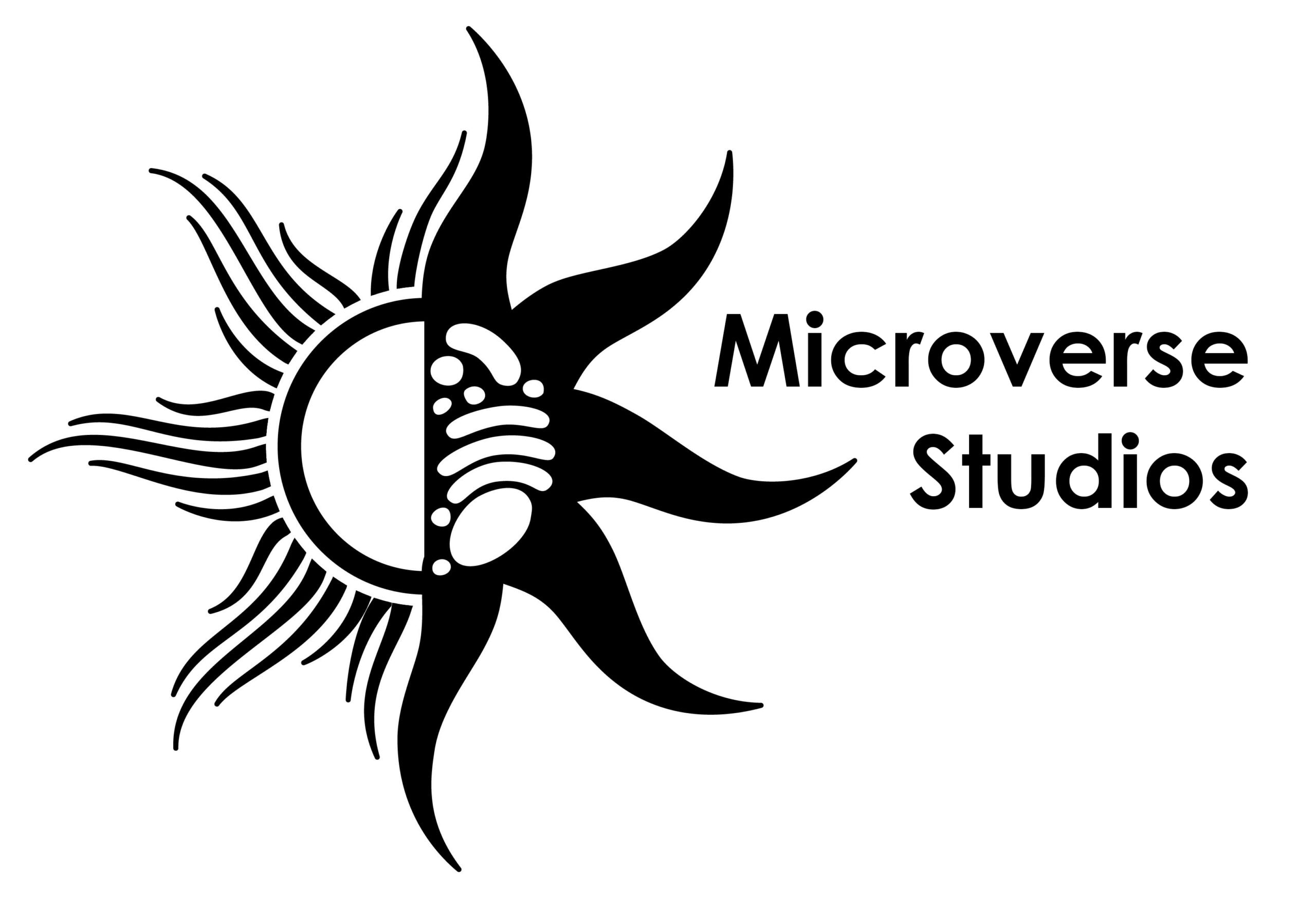 Business Profile: Microverse Studios - Daily News Network