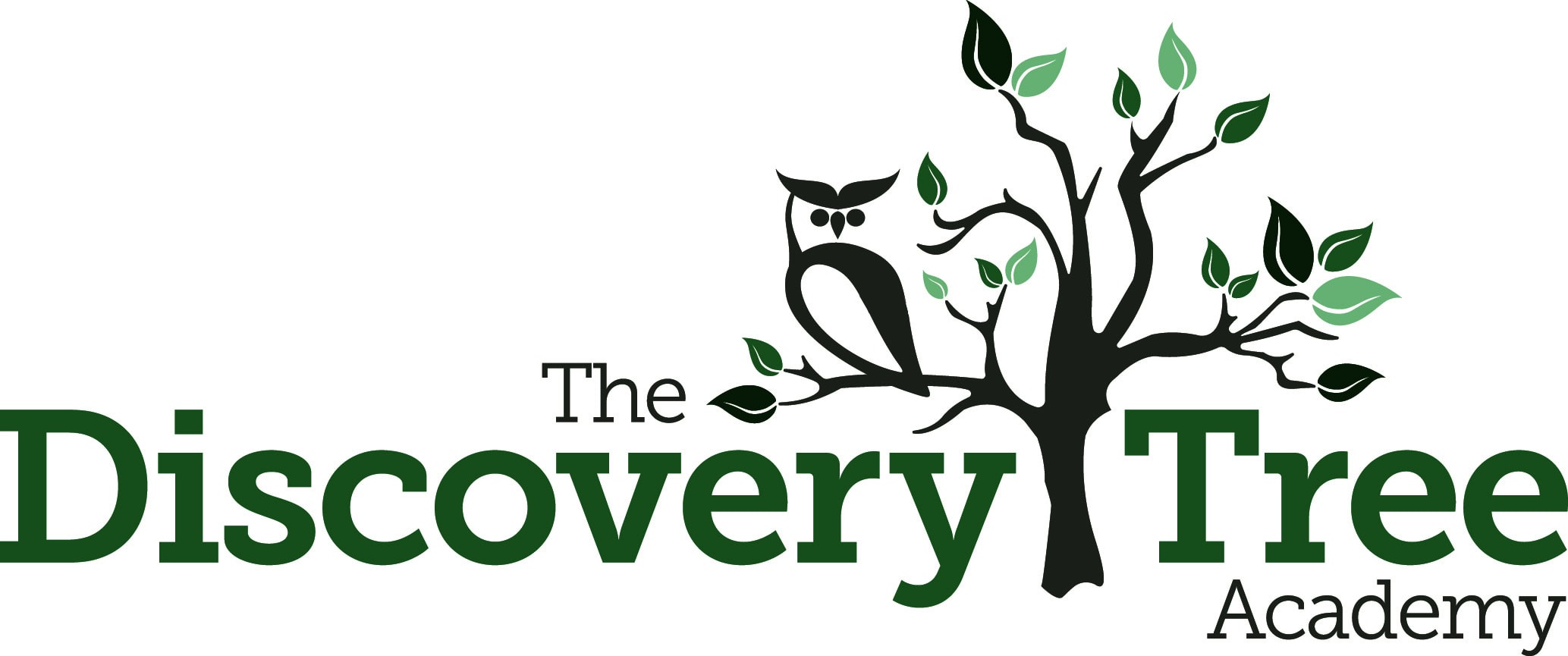 Business Profile: The Discovery Tree Academy - Daily News Network