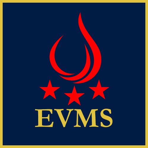 Business Profile: Elixir Value Management Systems, Inc. - Daily News Network